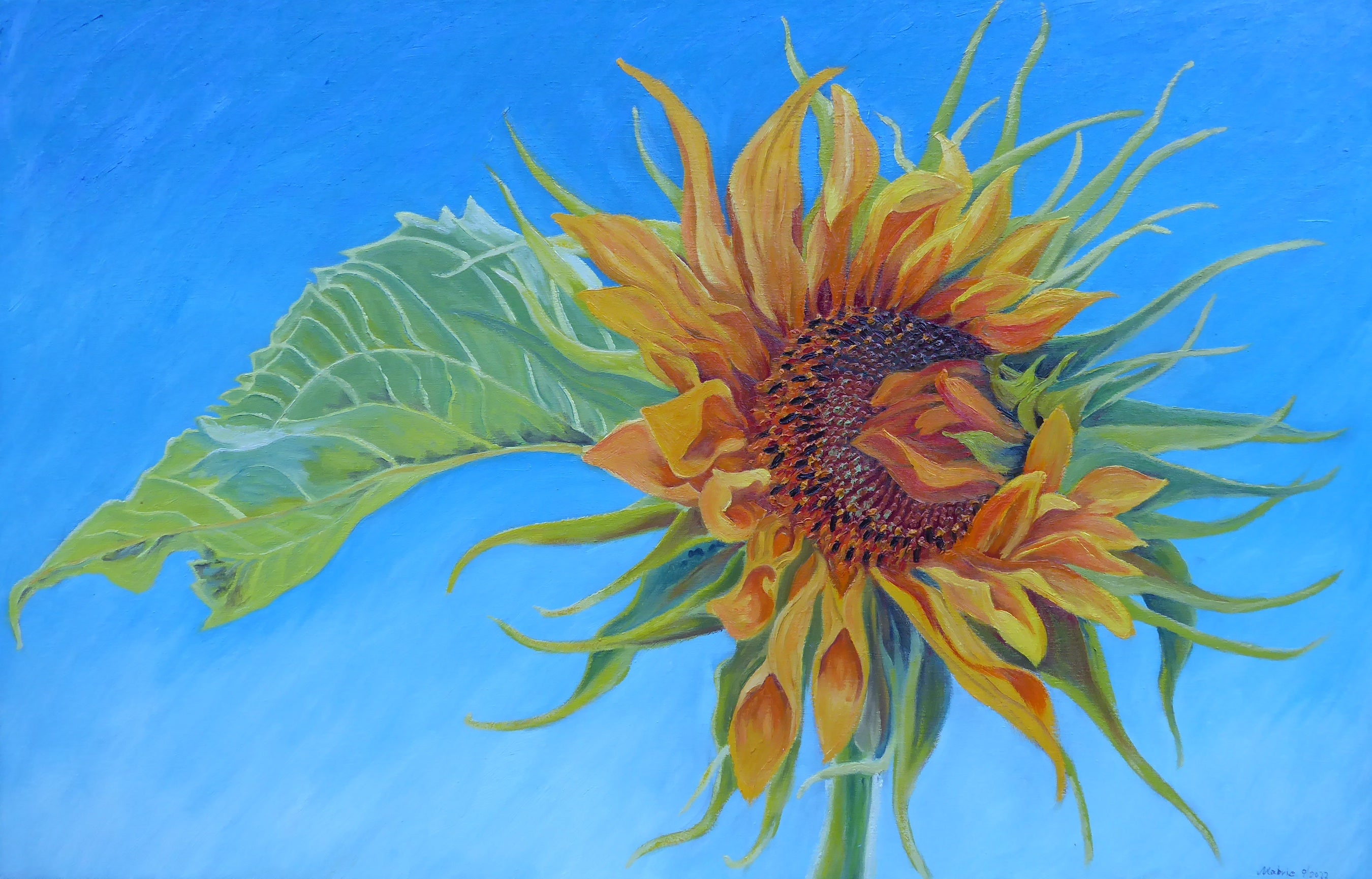 Birth of Venus 2 – Art and Soul Ashland