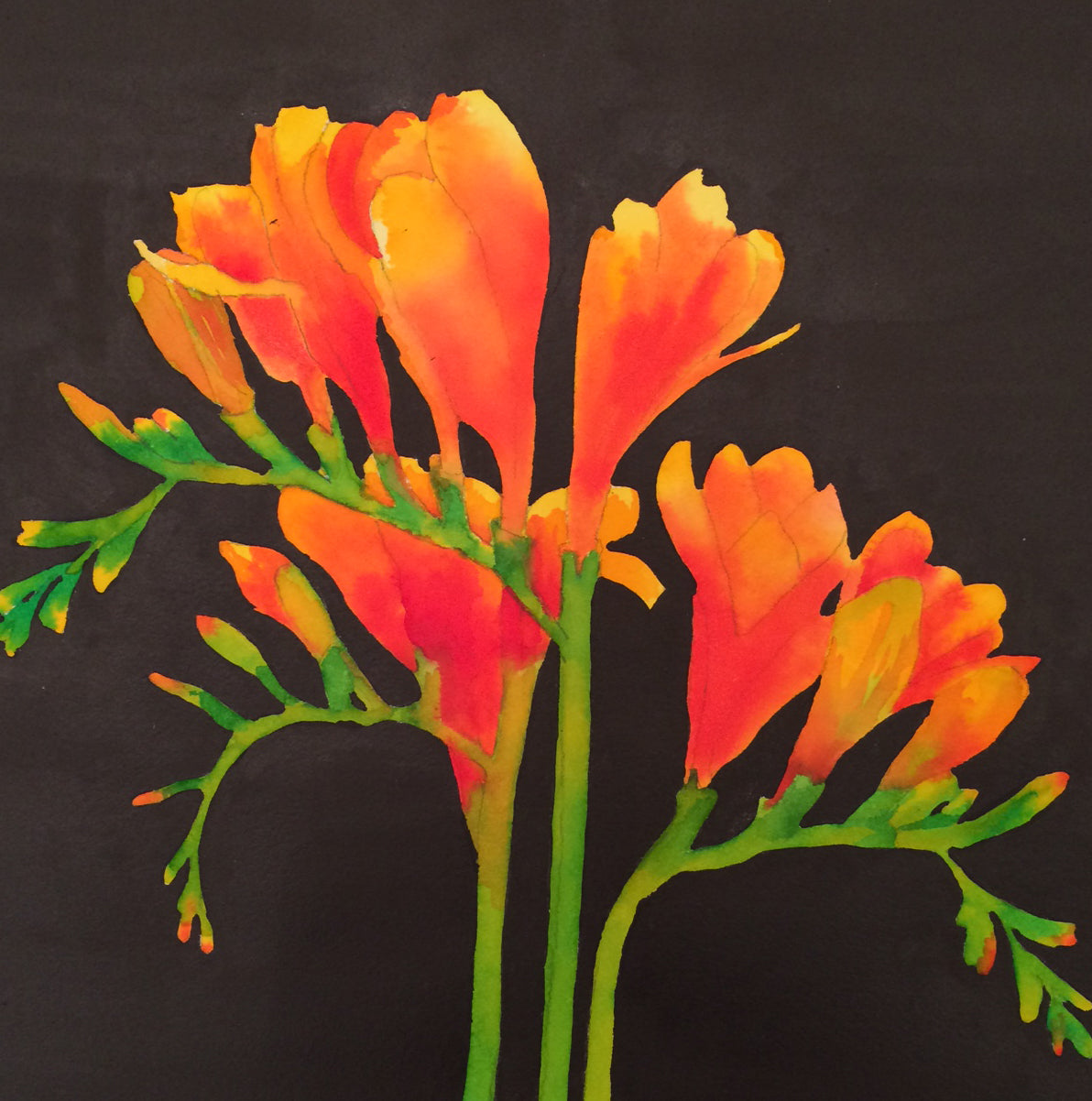Fragrant Freesia – Art and Soul Ashland