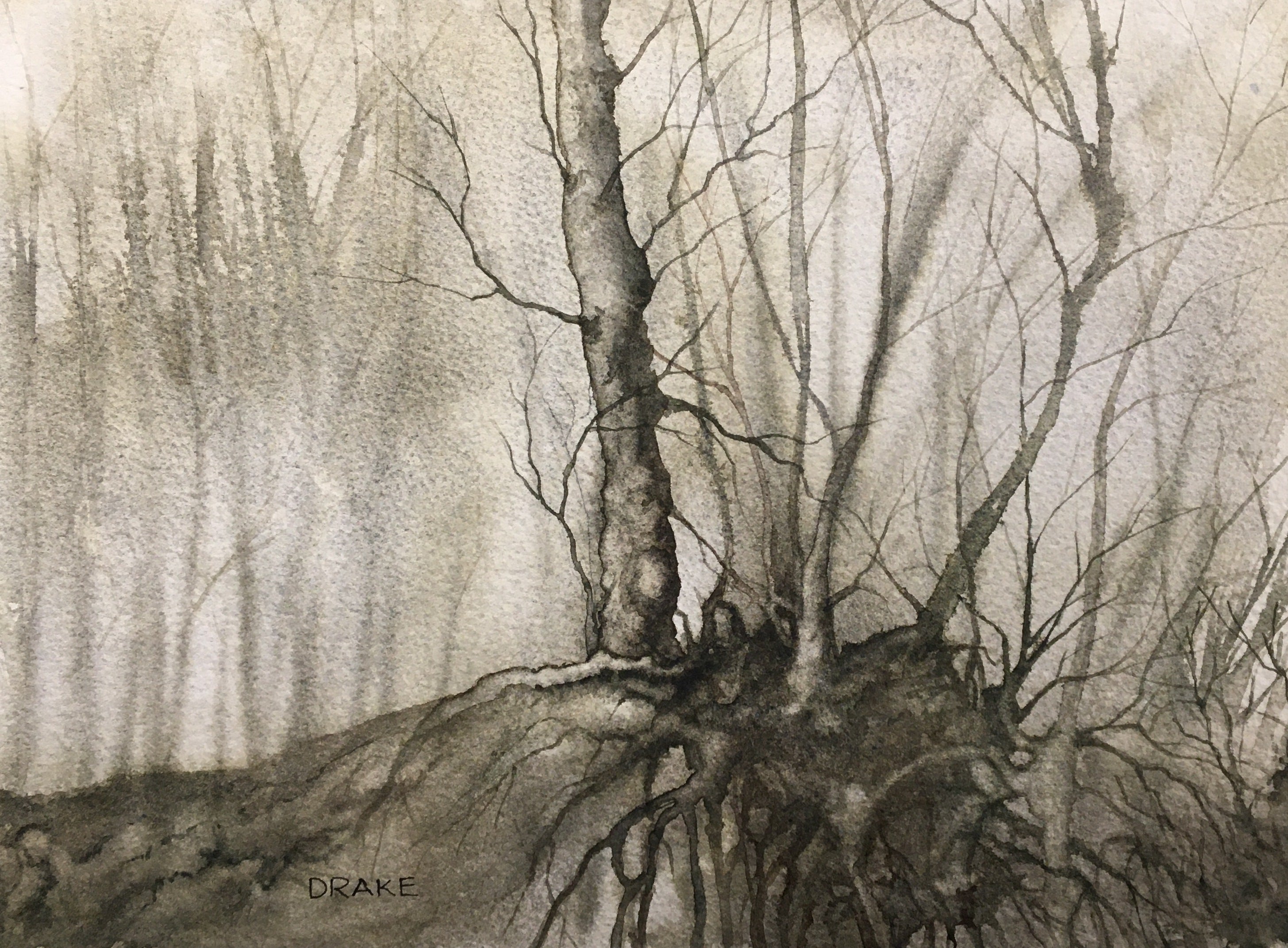Survival – Art and Soul Ashland